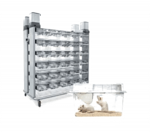 Individually Ventilated Cages Australia | Able Scientific Lab Supplies